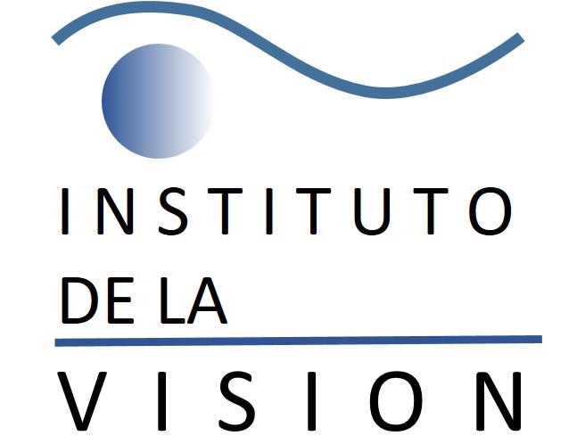 Instituto de la Vision